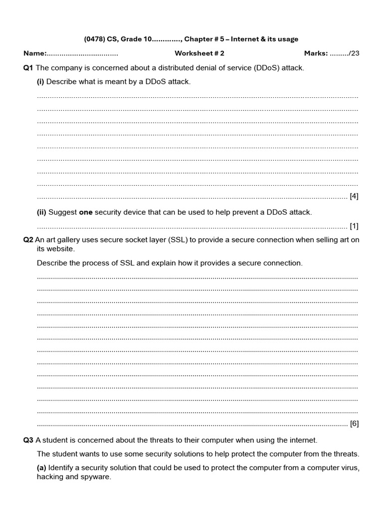 Grade 10 CS Chapter # 5 Internet & Its Usage Worksheet # 2 | PDF