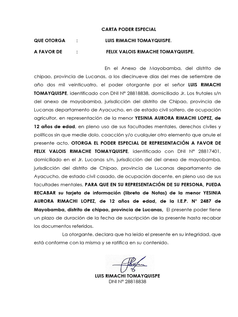 Carta Poder Especial Luis Rimache | PDF
