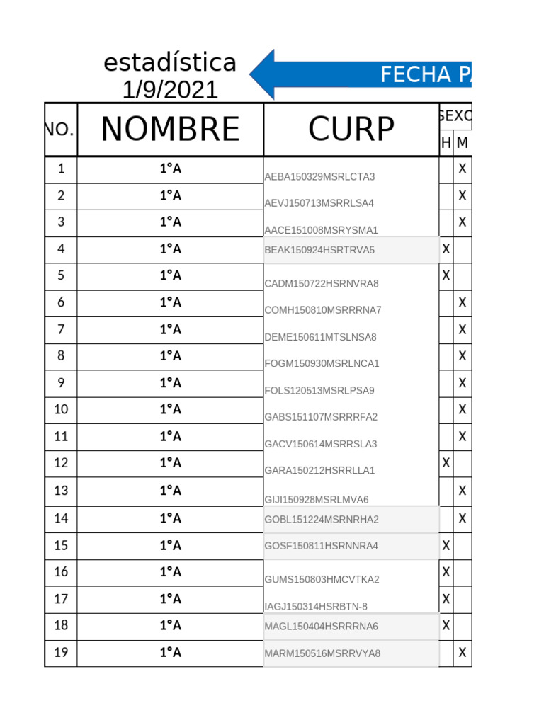 Formato para Edades | PDF
