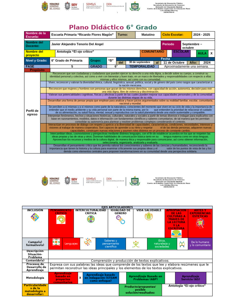 JAVIER ALEJANDRO Revision 1 | PDF