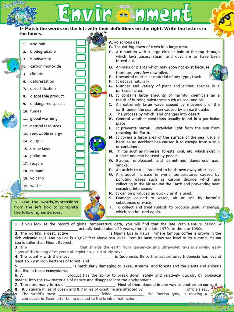 The Environment - Vocabulary Practice | PDF