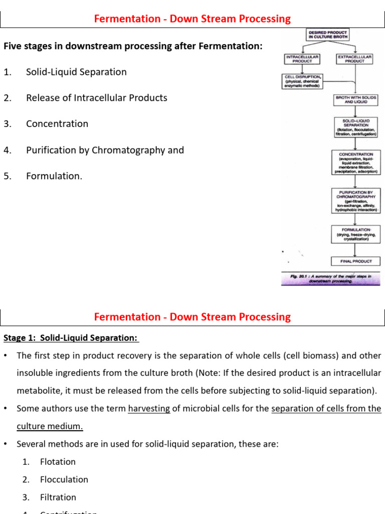 Downstram Process 1 | PDF