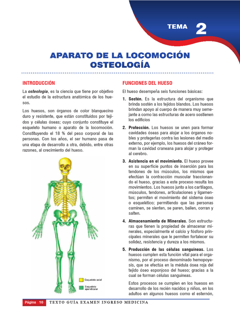Aparato de La Locomoción | PDF