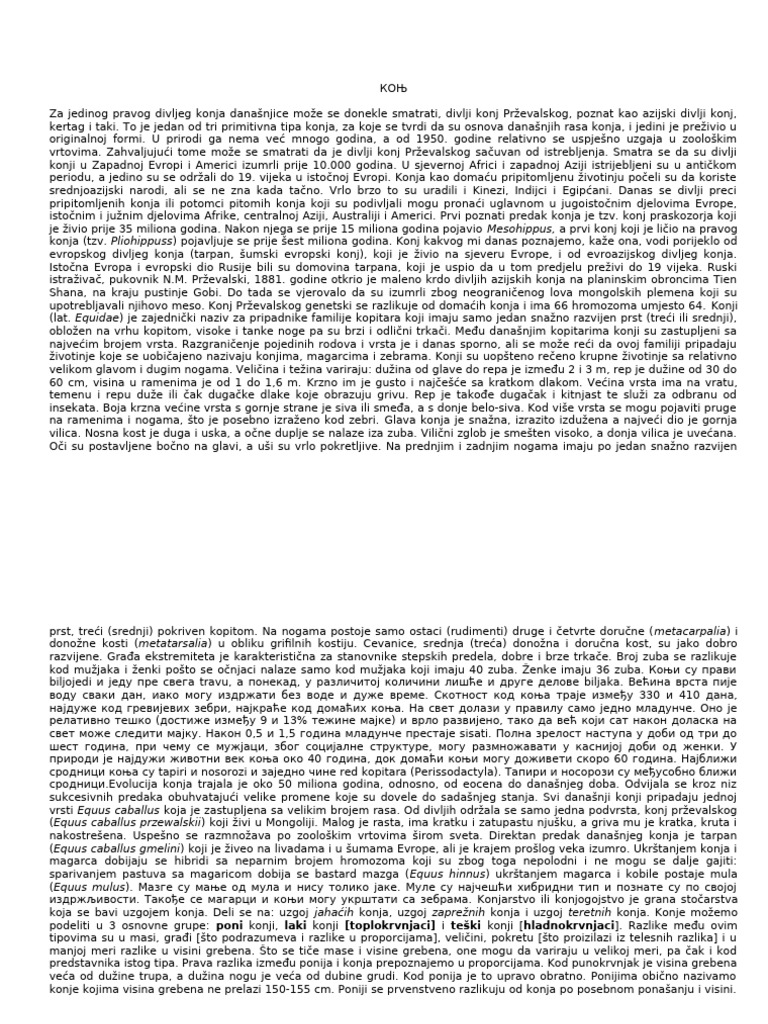 Konj | PDF