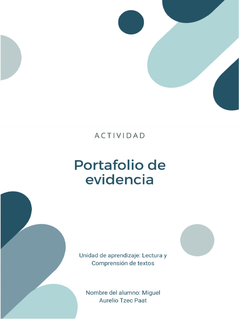 Portafolio de Evidencia | PDF