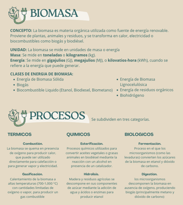 Tema 1 - Biomasa | PDF