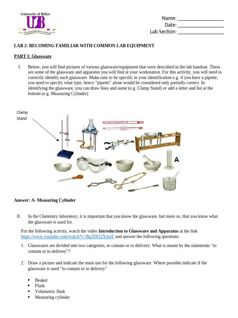 Lab 2 Activity Sheet | PDF