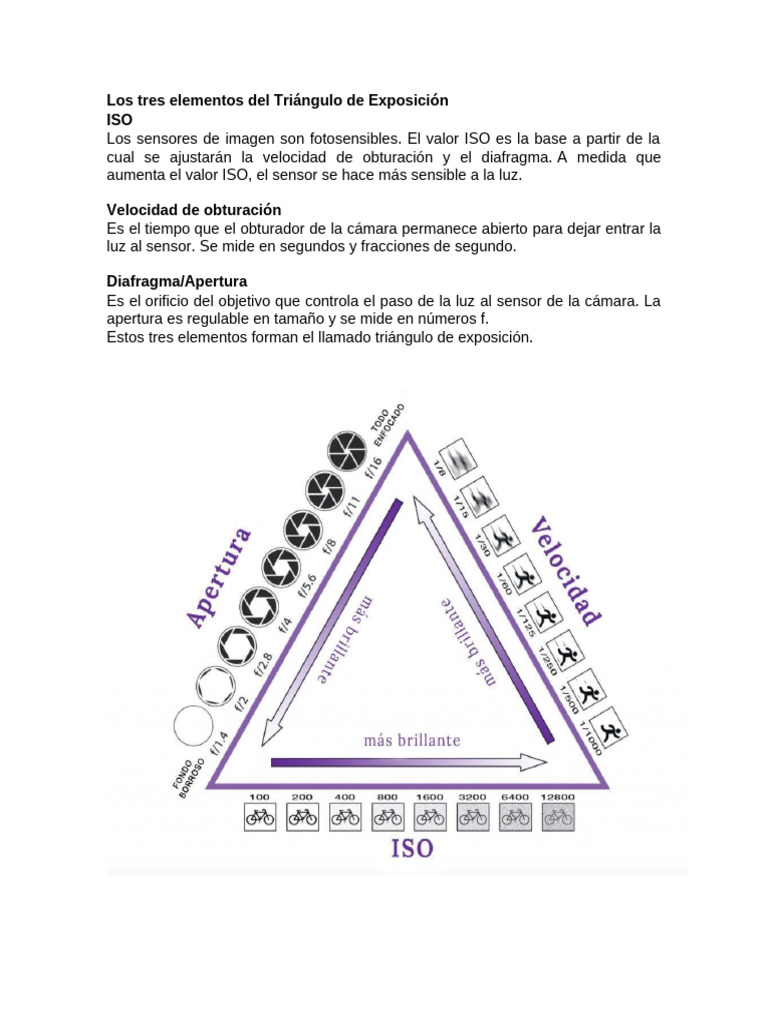Triángulo de Exposición 2 | PDF