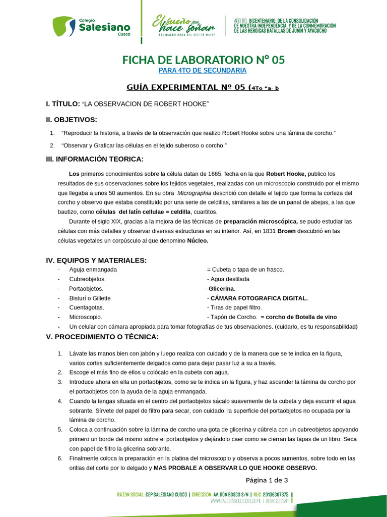 Ficha de Laboratorio #05 Observacion de Hooke - 4T0 2024 | PDF