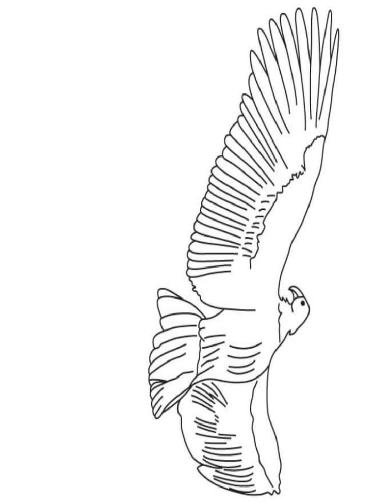 Word Caligrama Cesar | PDF