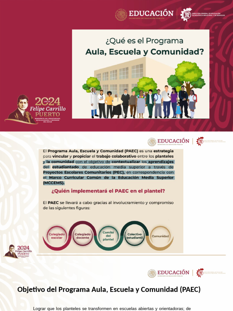 Presentacion Paec-Pec | PDF | Escuelas