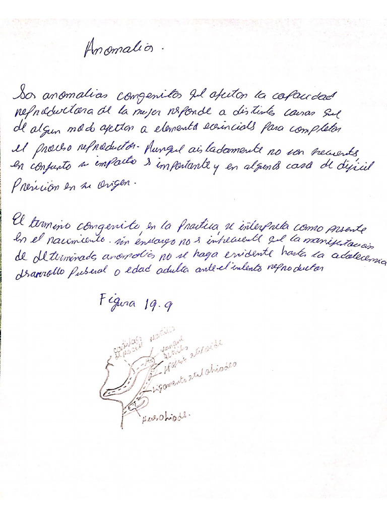 Unidad 4 El Perfil Salud-Enfermedad y Los Indicadores. Clasificación Internacional de Las ...