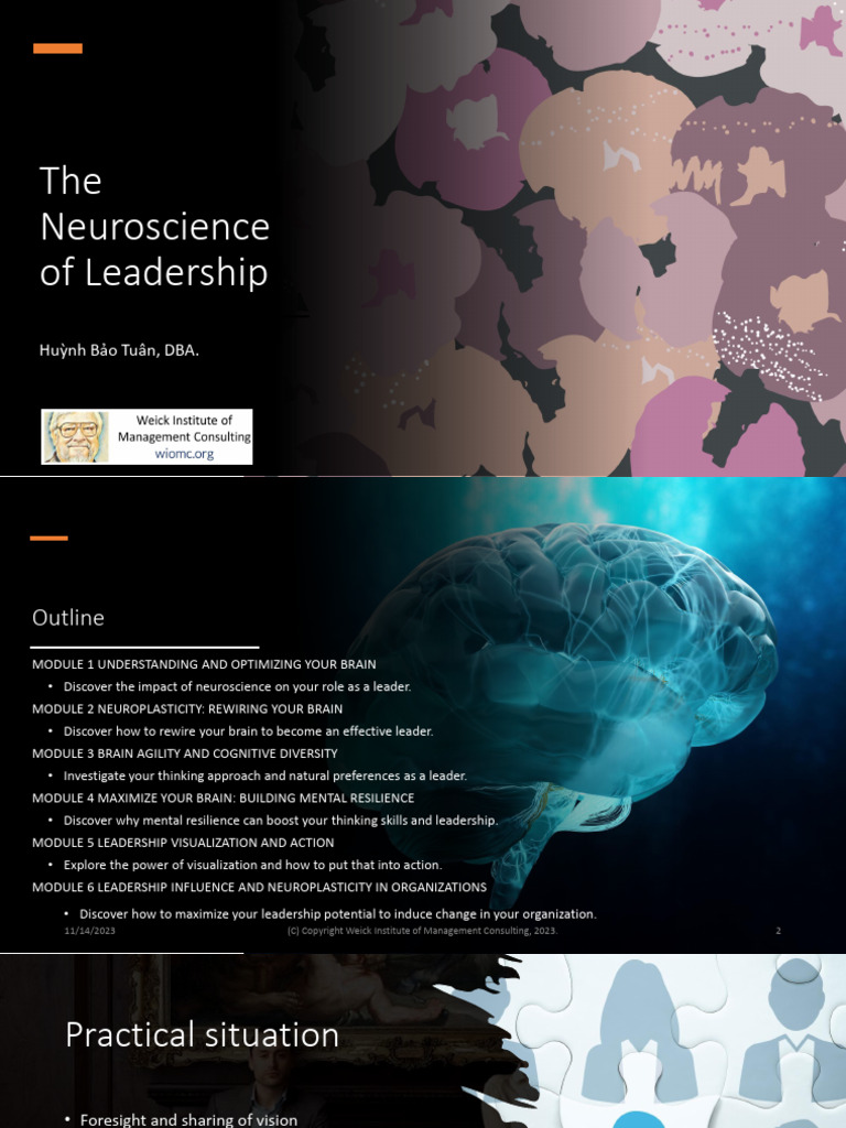 The Neuroscience of Leadership Outline | PDF