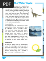 Water Cycle Exploration Guide | PDF | Water Cycle | Water