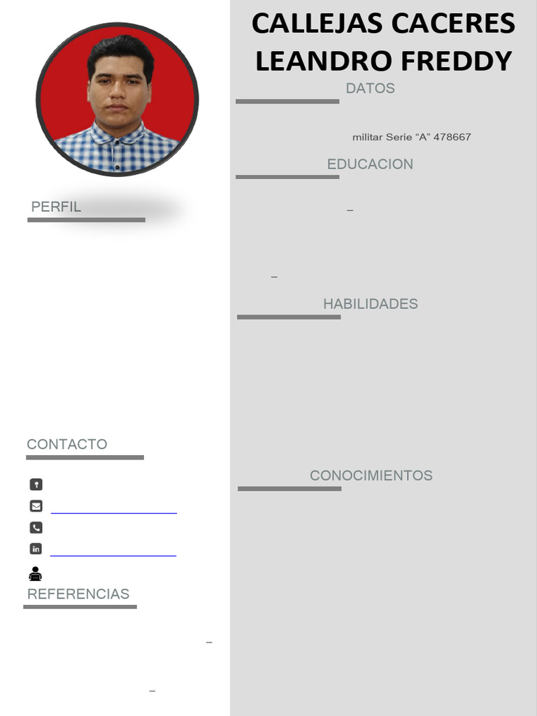 CV Callejas Caceres Leandro Freddy | PDF