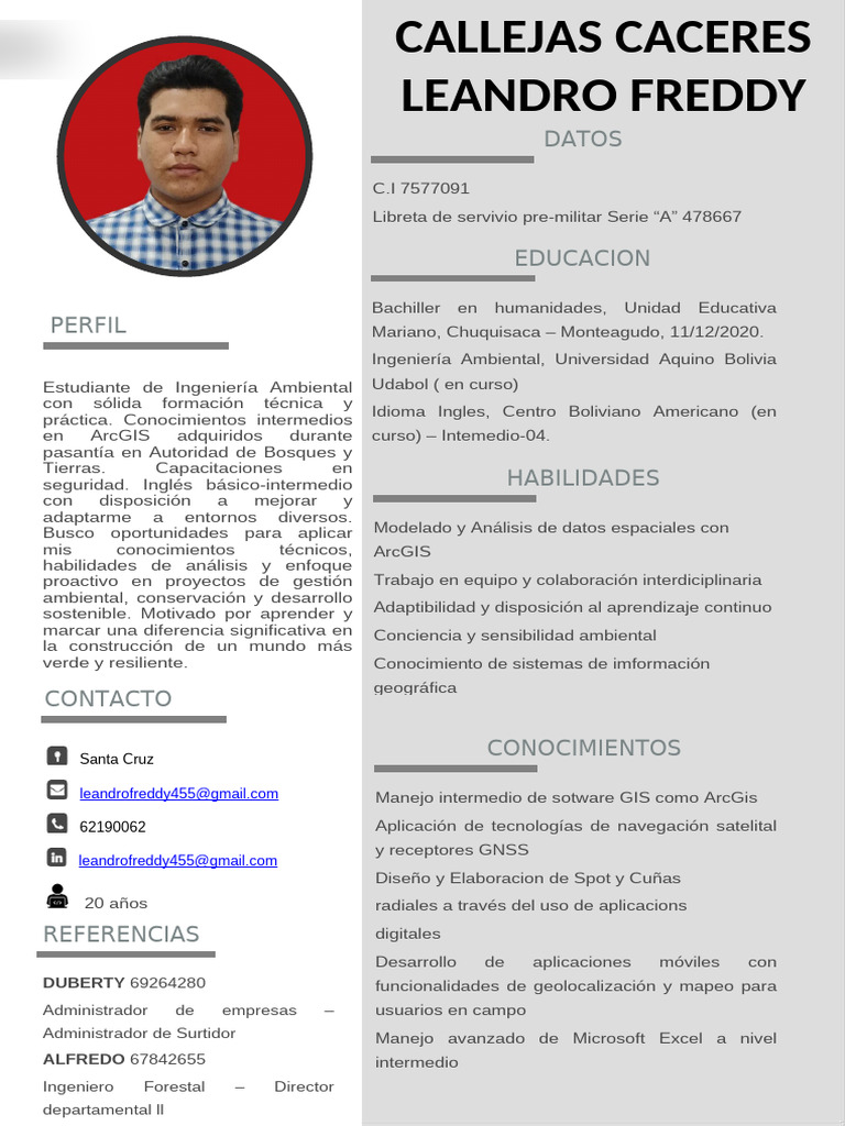CV Callejas Caceres Leandro Freddy | PDF