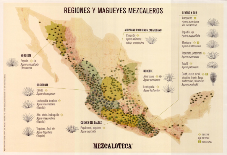 Mapa México Agave y Mezcales | PDF