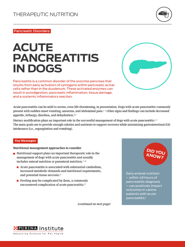 Acute-Pancreatitis-in-Dogs | PDF