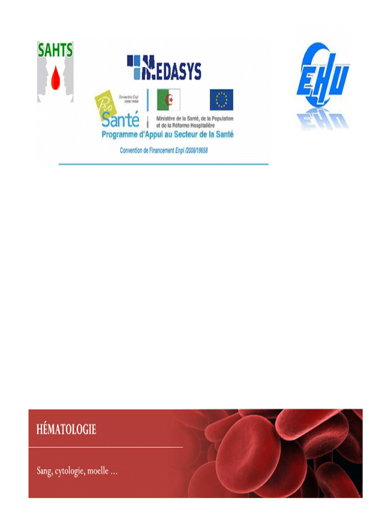 C3 Benouis | PDF