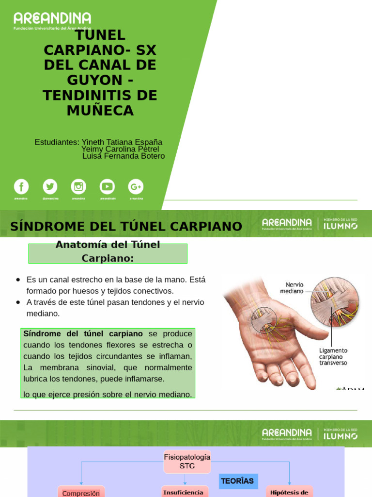 Tunel Carpiano, Tendinitis de Muñeca | PDF