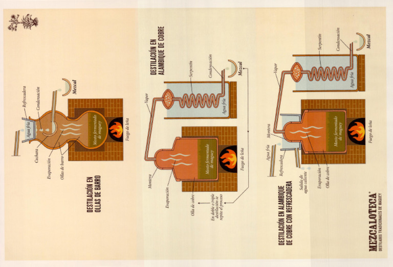 Myscan 20230424 0002 | PDF