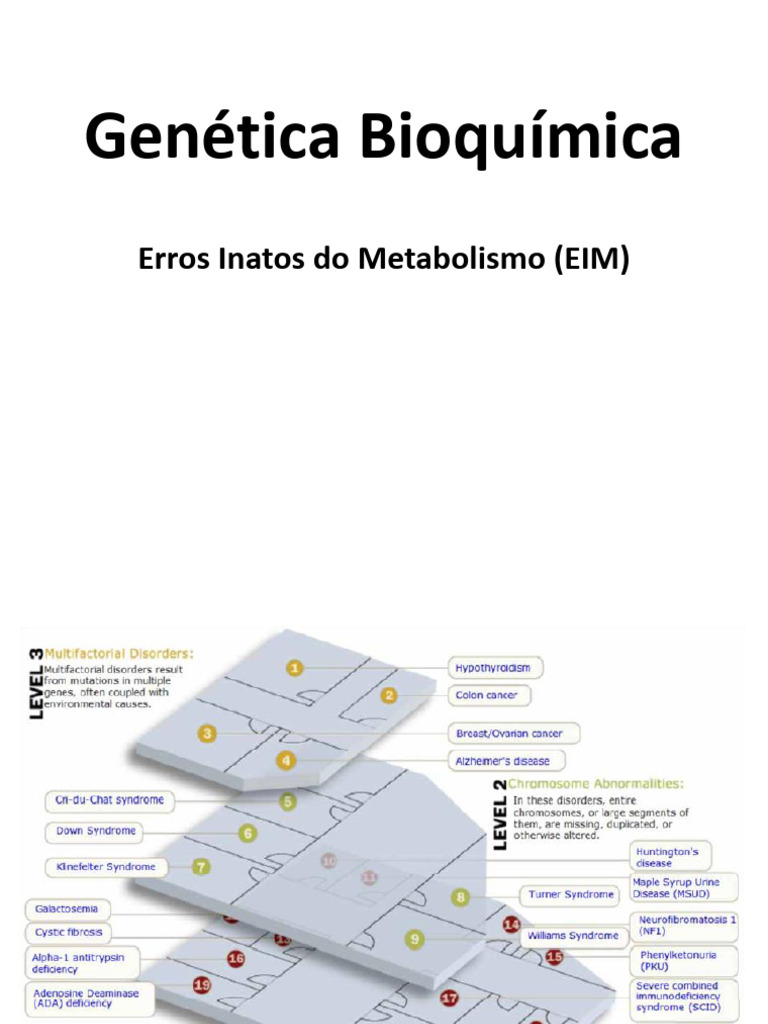 Genética Bioquimica | PDF