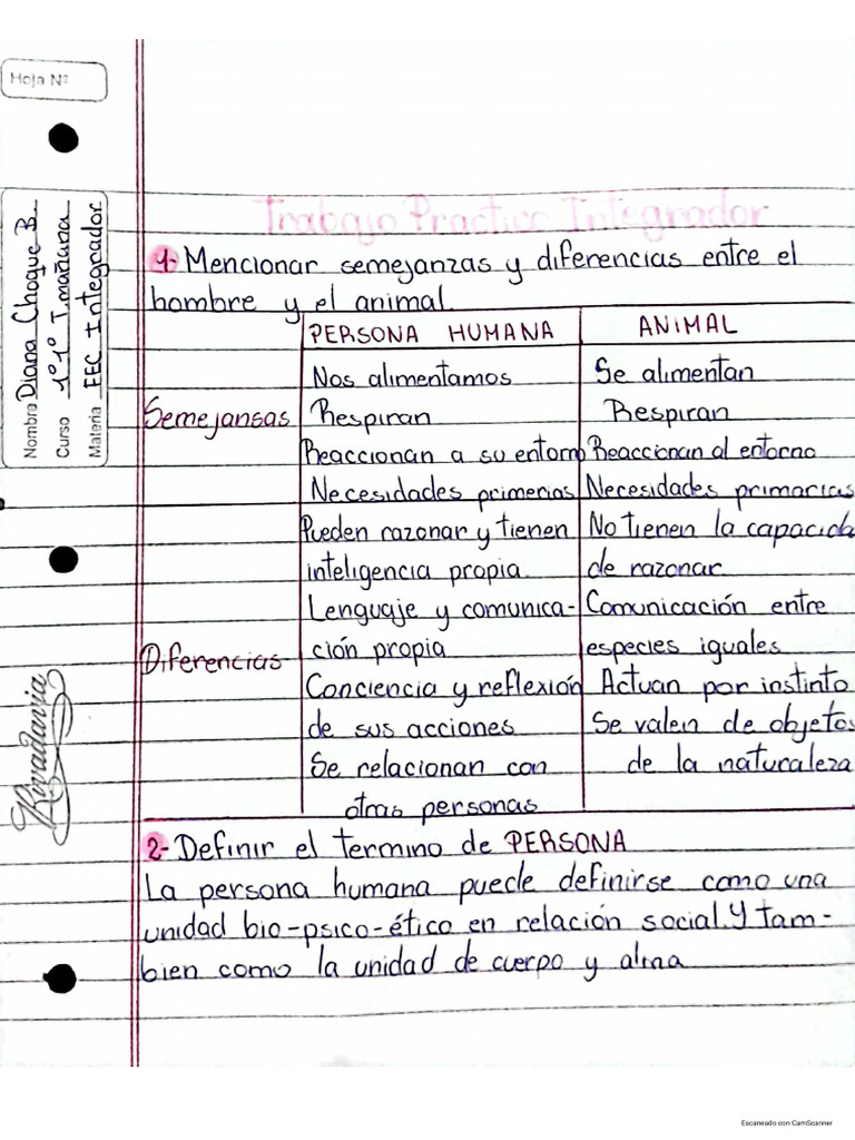 TP Integrador FEC Diana Choque Burgos 1°1° T. Mañana | PDF