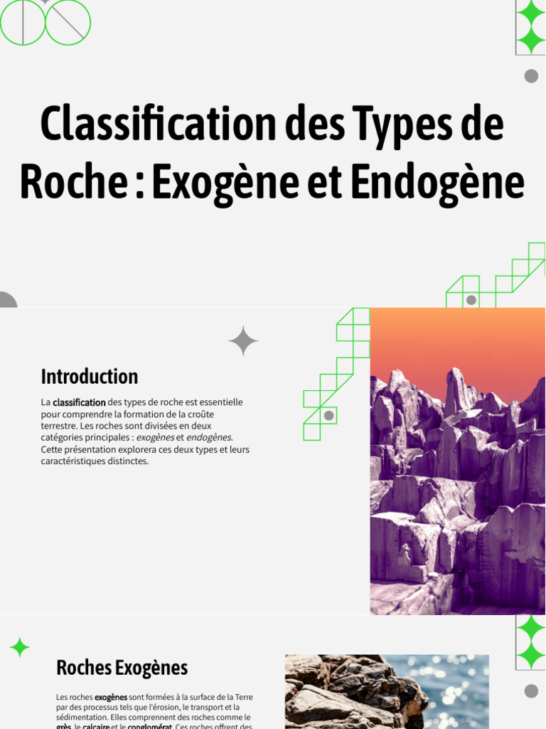 Slidesgo Classification Des Types de Roche Exogene Et Endogene | PDF