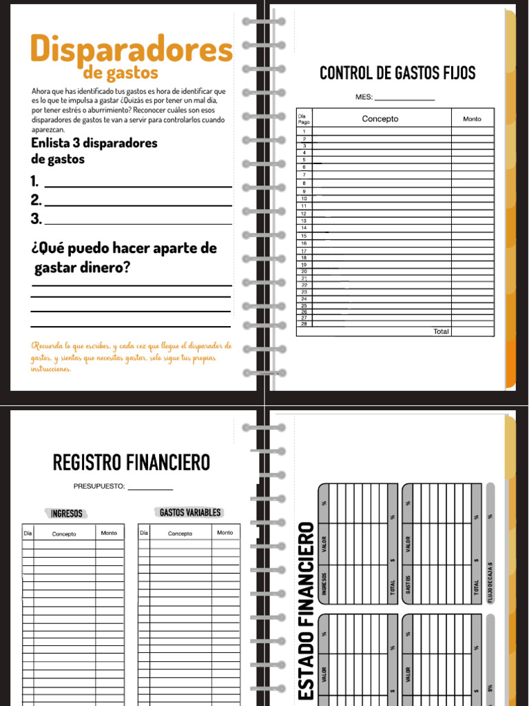 Plantillas (Control Financiero) | PDF