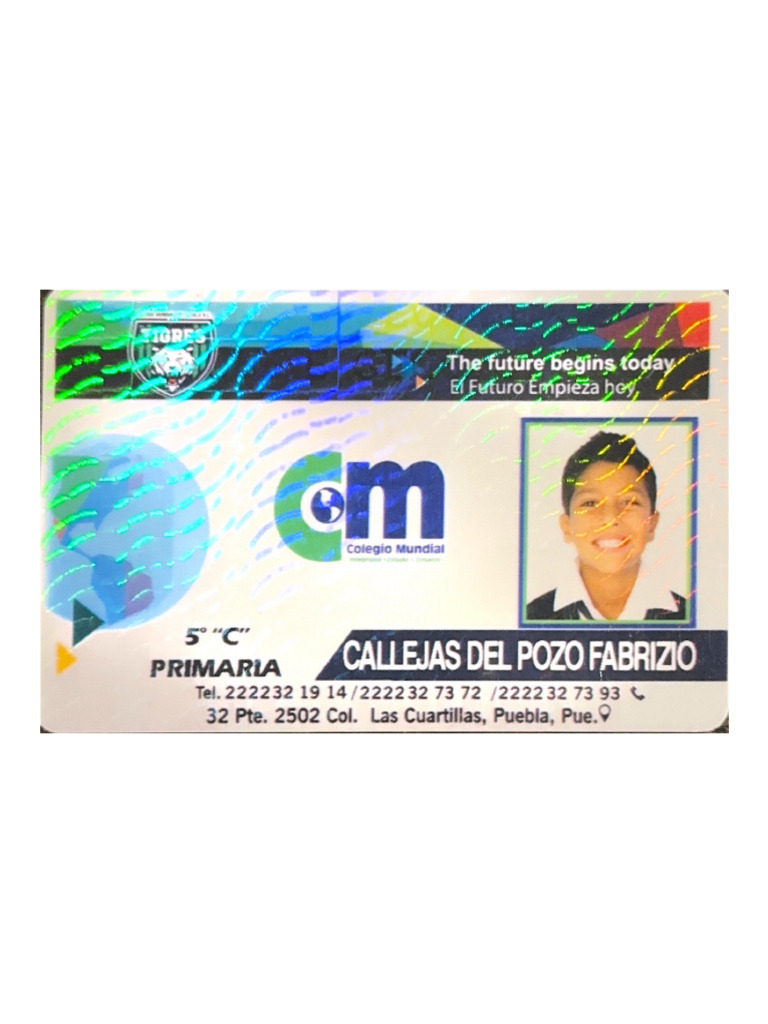 The Futüre Begins Today | PDF