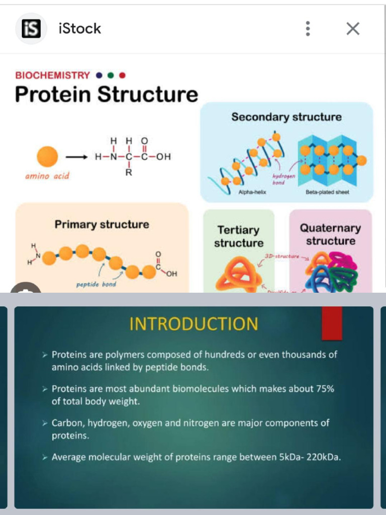 Introduction To Protein Structure | PDF