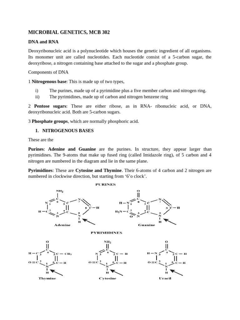Microbial Genetics | PDF | Dna | Dna Replication