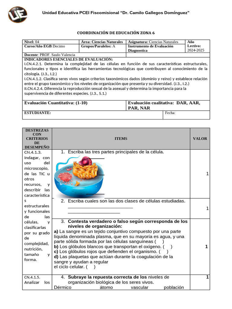 10mo CCNN Evaluacion Diagnostica 24-25 | PDF
