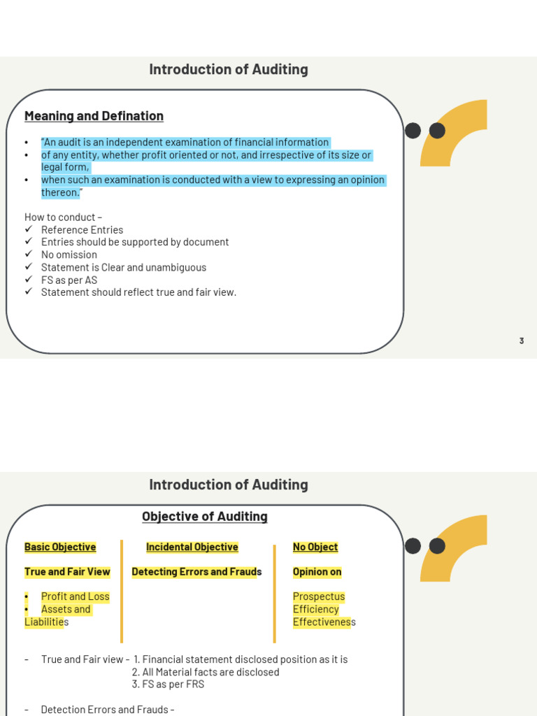 Audit chapter 1 | PDF