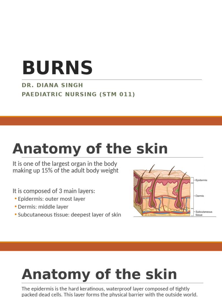 Burns | PDF