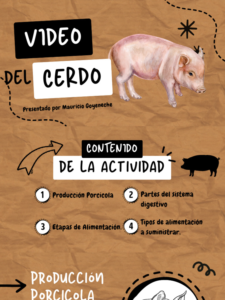 Alimentacion monograstricos cerdos. | PDF