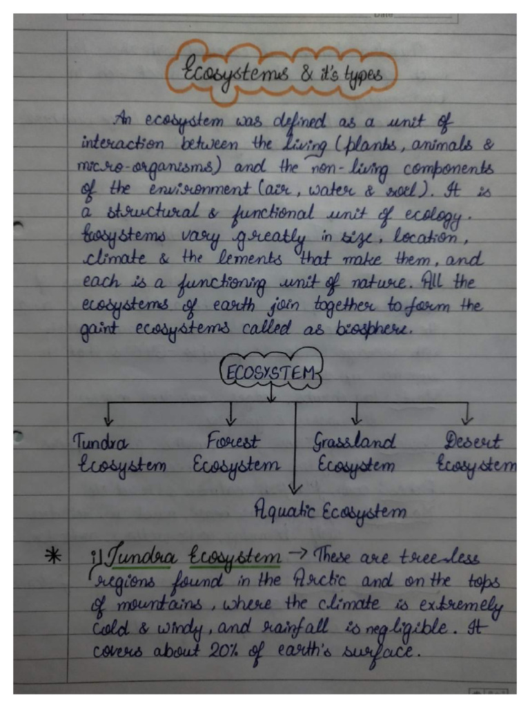 EVS Assignment | PDF