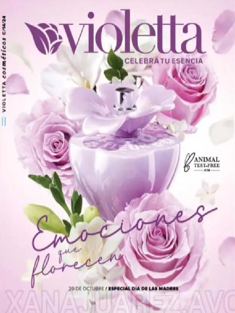 Violetta 14 Argentina | PDF