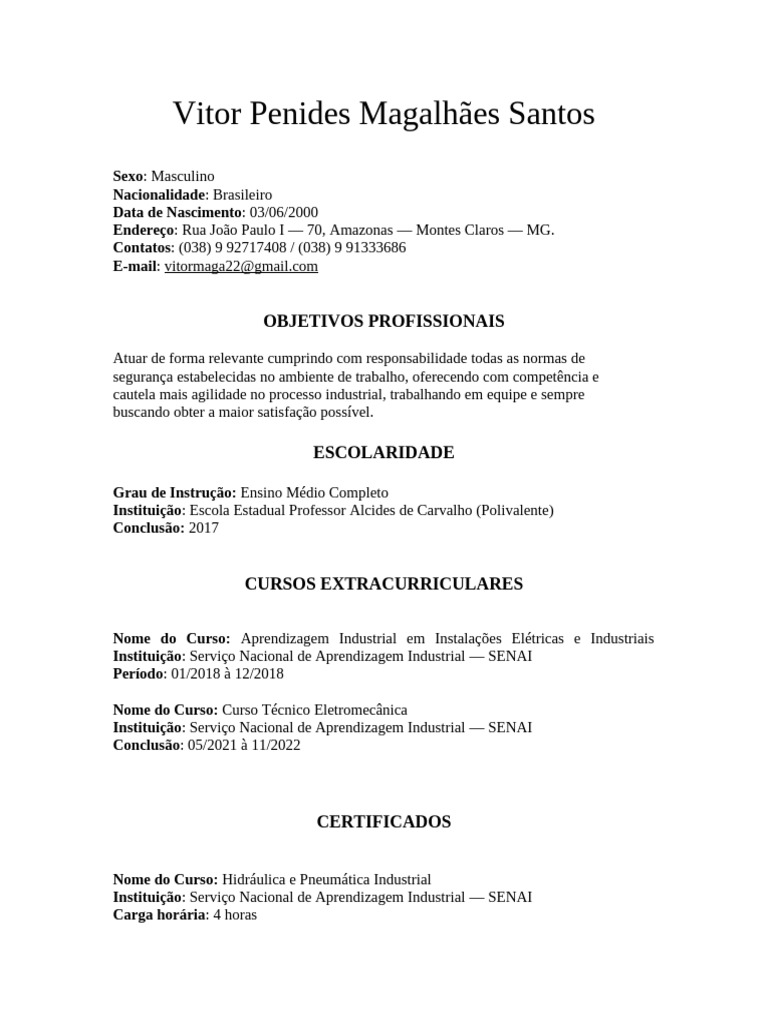 Curriculo - Vitor P.-1 | PDF