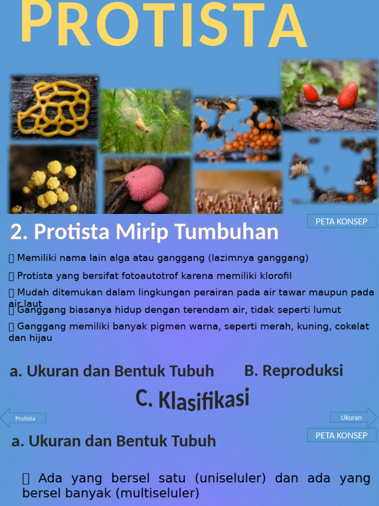 Biologi Protista Tumbuhan | PDF