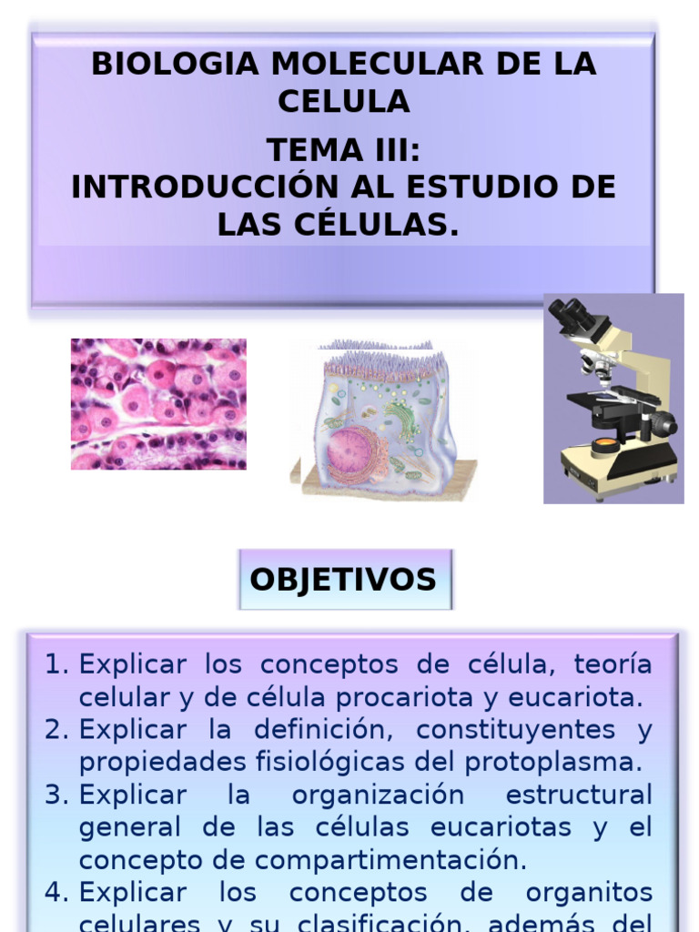Celulas | PDF