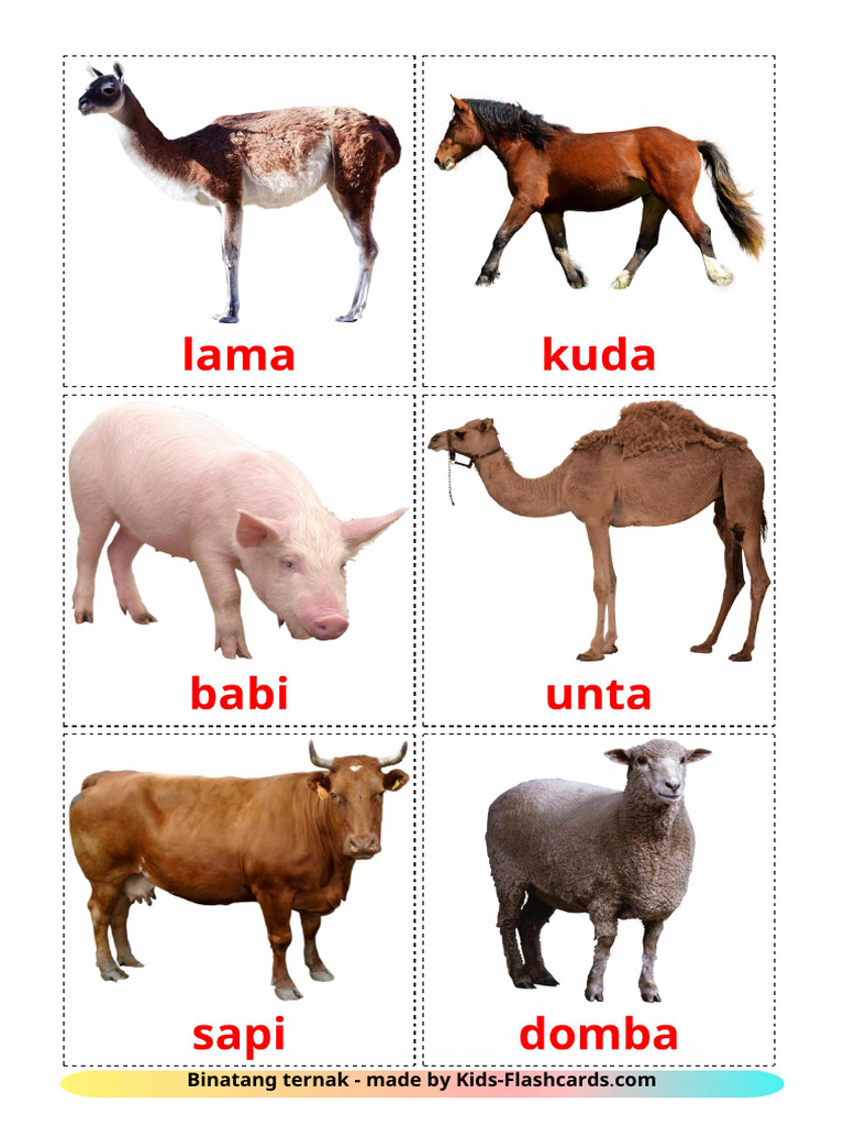 Binatang Ternak-6-A4 | PDF