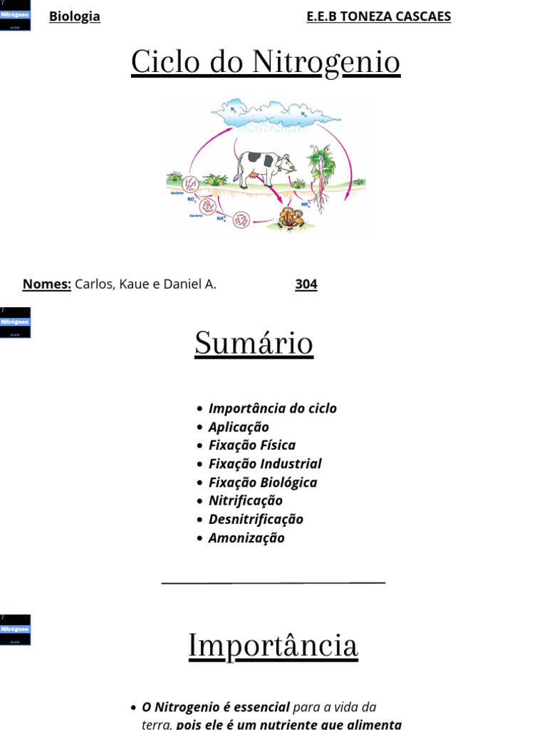 Ciclo do Nitrogenio | PDF