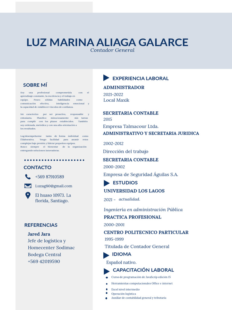 CV Luz Aliaga G. | PDF