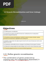 Amoeba Sisters: Alleles and Genes Recap | PDF | Genotype | Allele