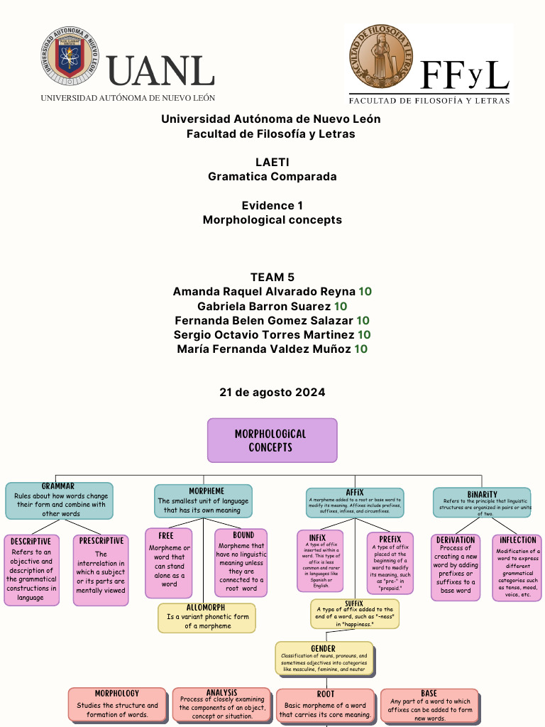 Pink Colorful Modern Organizational Chart Graph | PDF