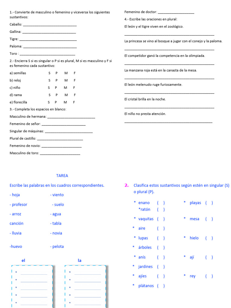 Ficha de Genero y Numero | PDF