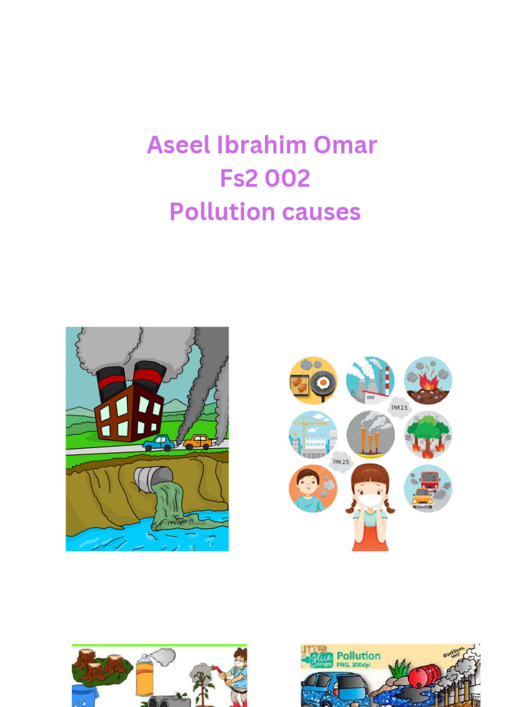 Aseel Ibrahim Omar Fs2 002 | PDF