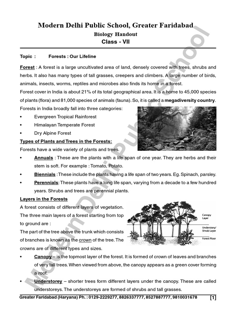 HANDOUT_CL 7_Forests- Our Lifeline | PDF