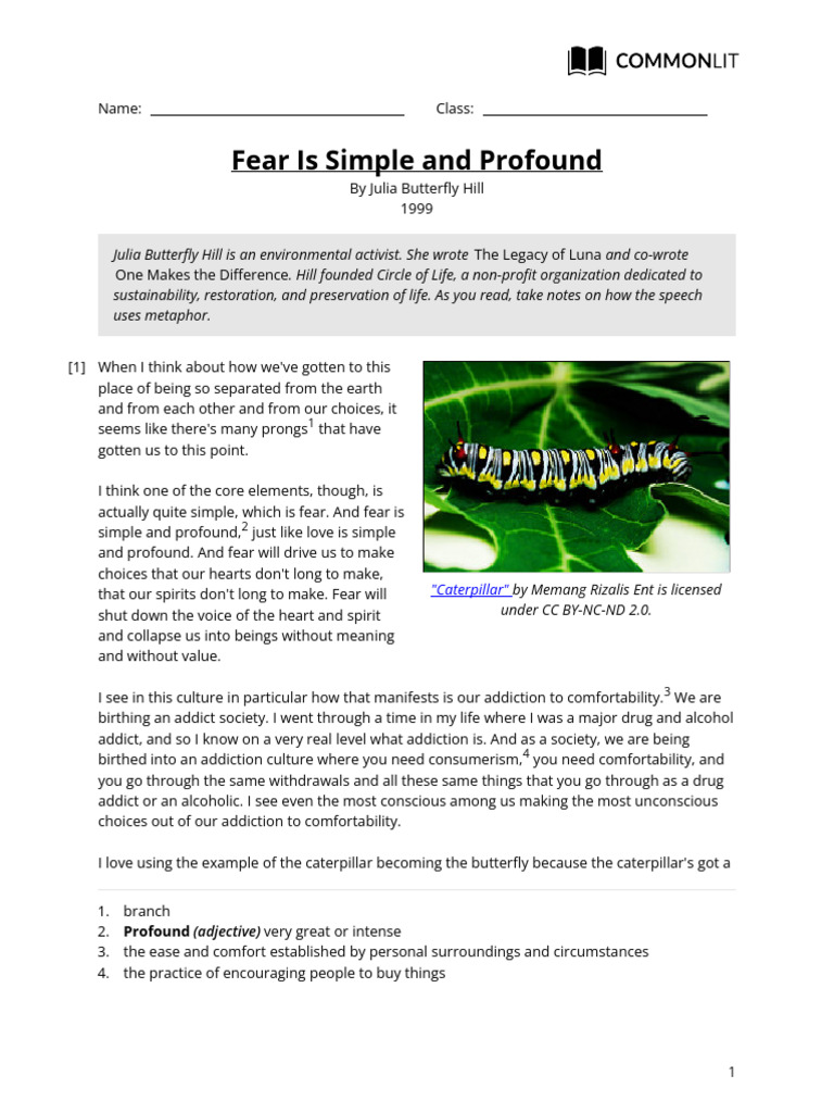 Fear Is Simple and Profound-Teacher-14 | PDF